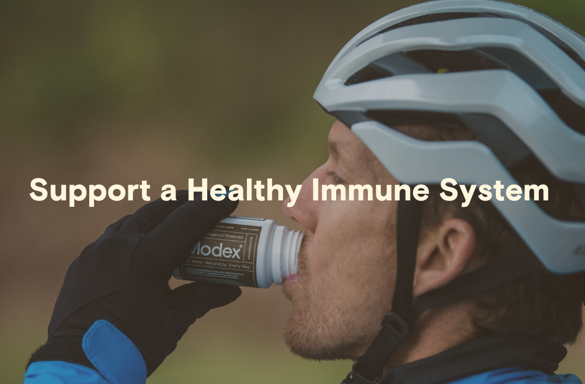 Support a healthy Immune System – Modex