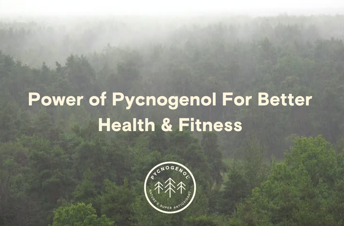 Pycnogenol® for Sports Nutrition – Modex