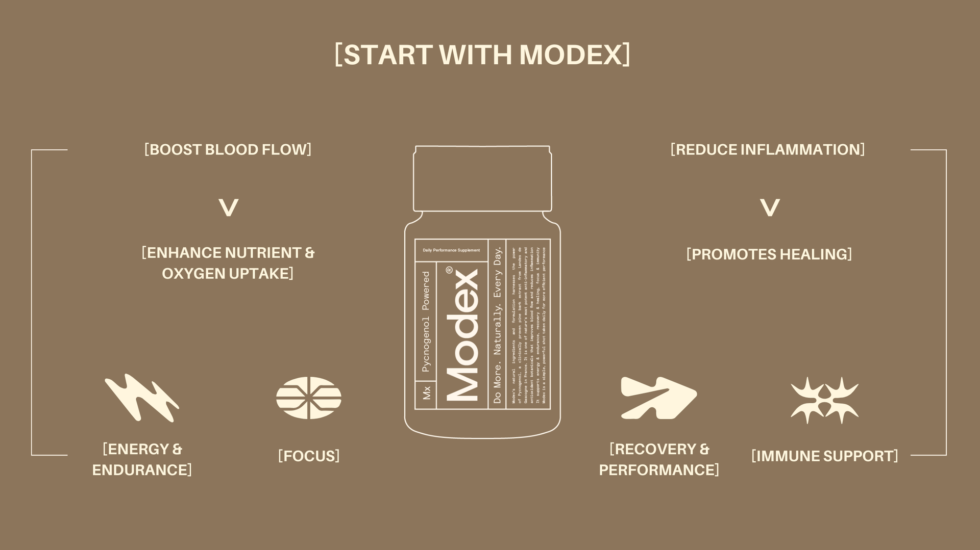 Official Website - Start with Modex® - For More Efficient Performance