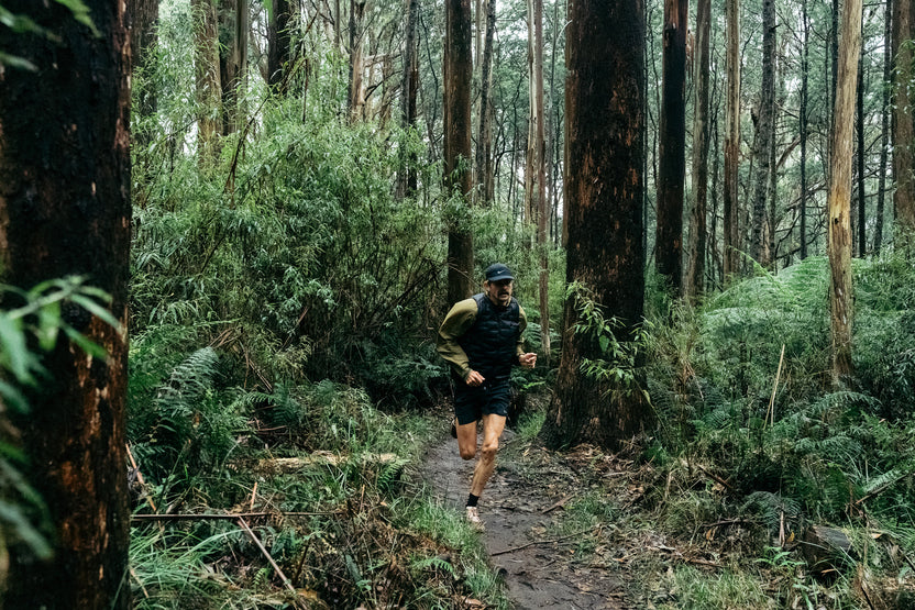 Official Website - Start with Modex® - For More Efficient Performance