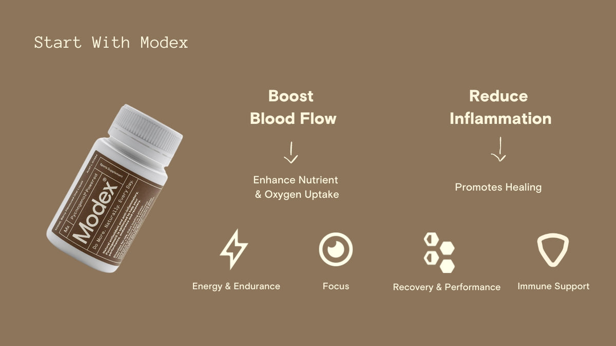 Official Website - Start with Modex® - For More Efficient Performance