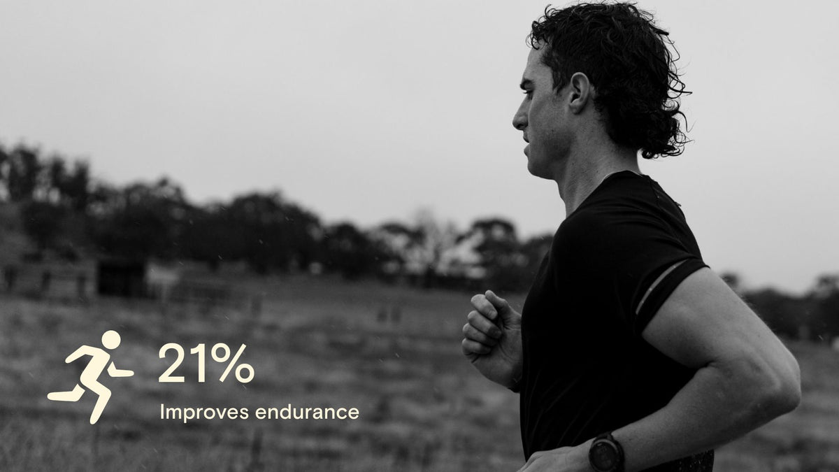 Modex Clean Performance Nutrition | 30 Serves